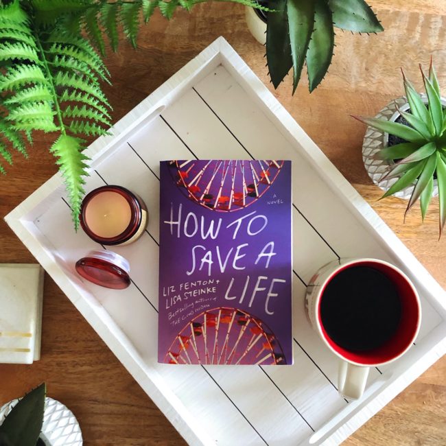BOOK REVIEW: How to Save a Life by Lisa Steinke and Liz Fenton ...