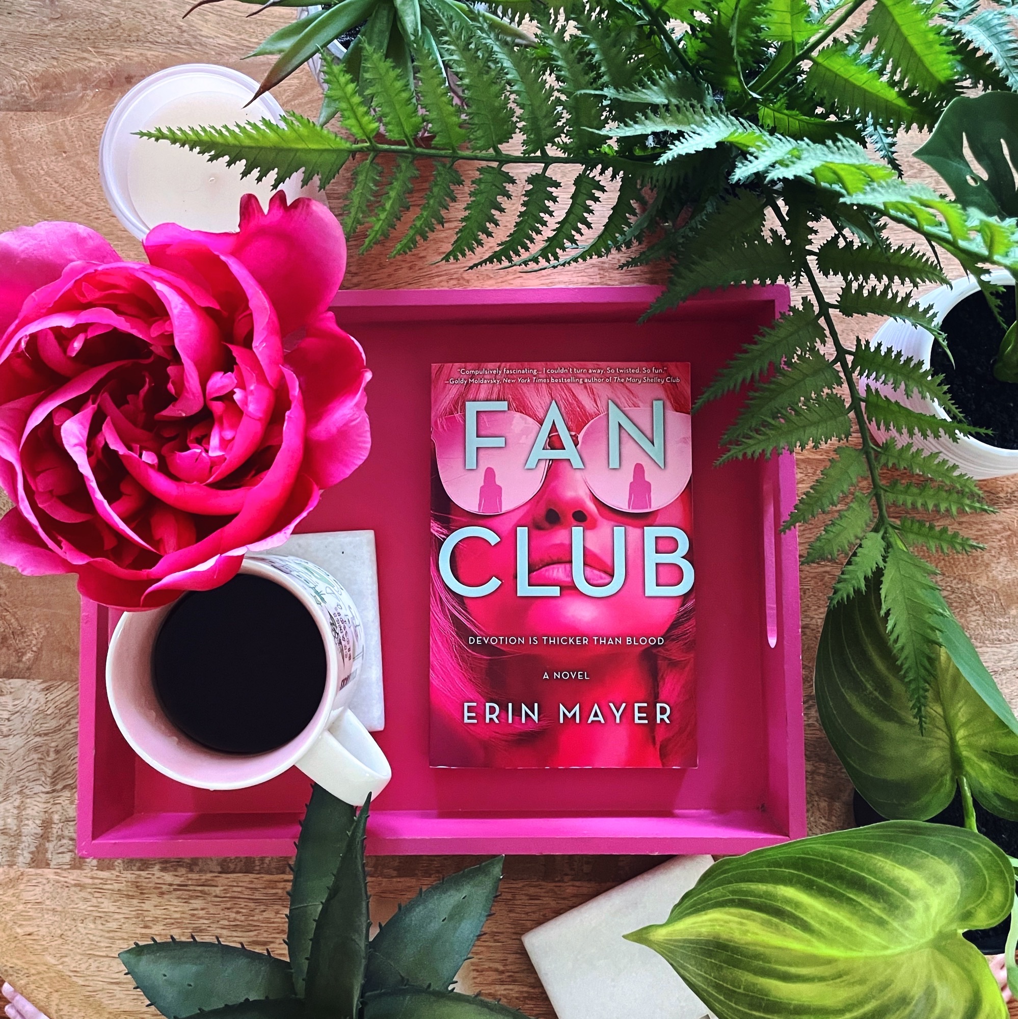 Book Review: Fan Club | Erin Mayer - The PhDiva reads books