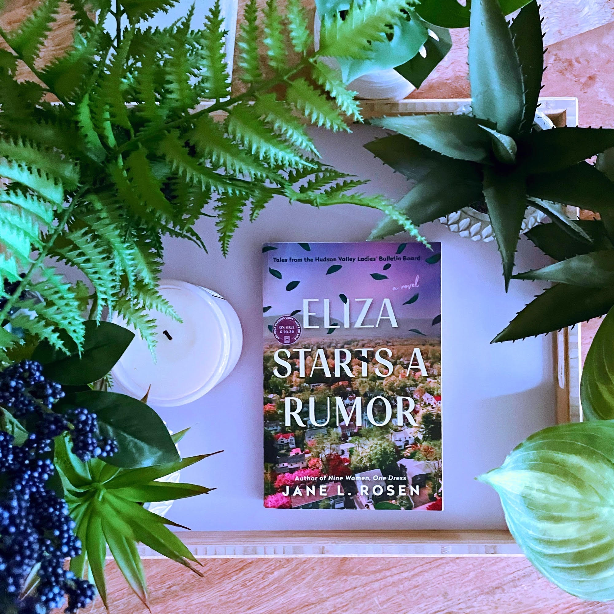 Book Review: Eliza Starts a Rumor | Jane L. Rosen - The PhDiva reads books