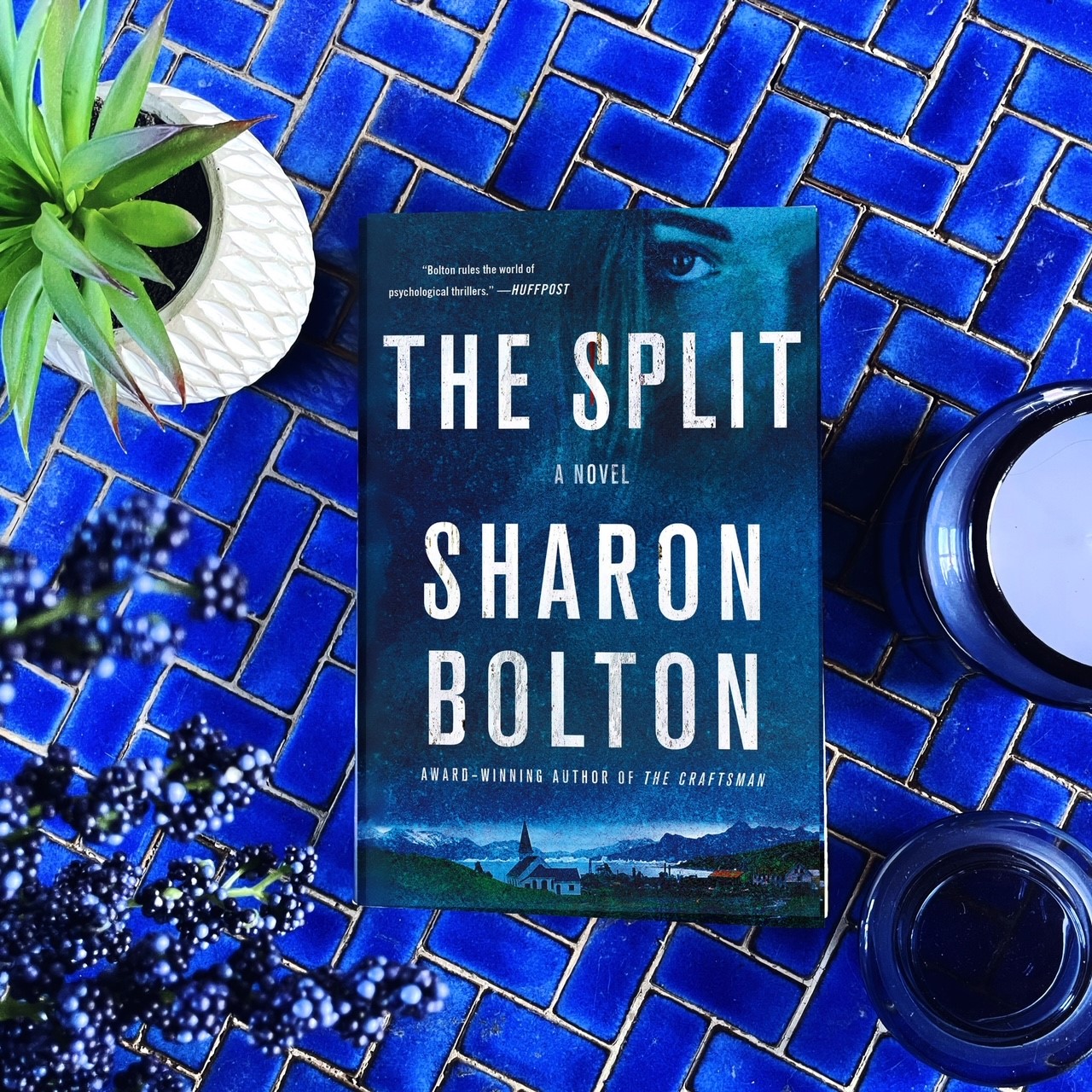 Book Review: The Split | Sharon Bolton - The PhDiva reads books