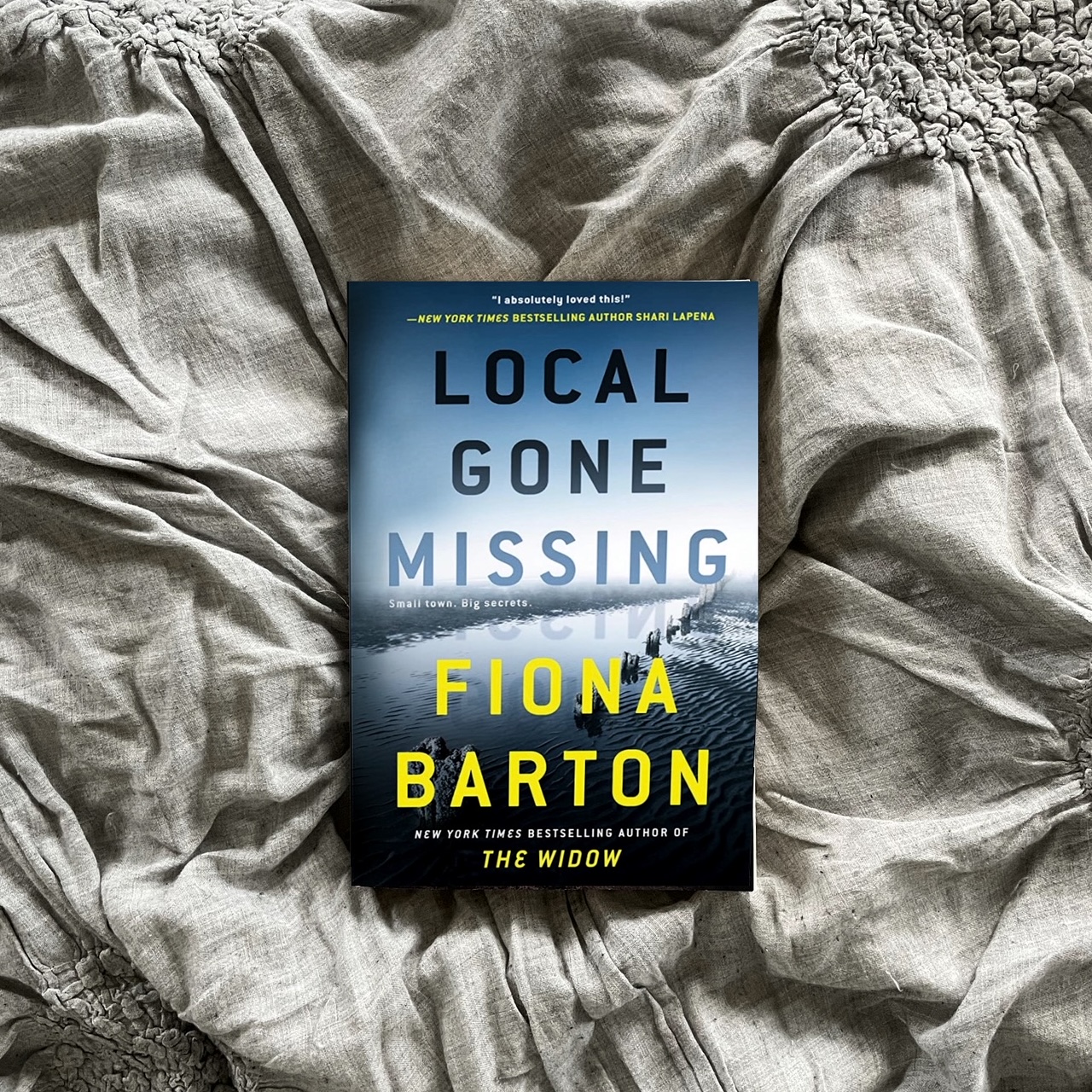 BOOK REVIEW: Local Gone Missing by Fiona Barton #localgonemissing #bookreview #policeprocedural ...