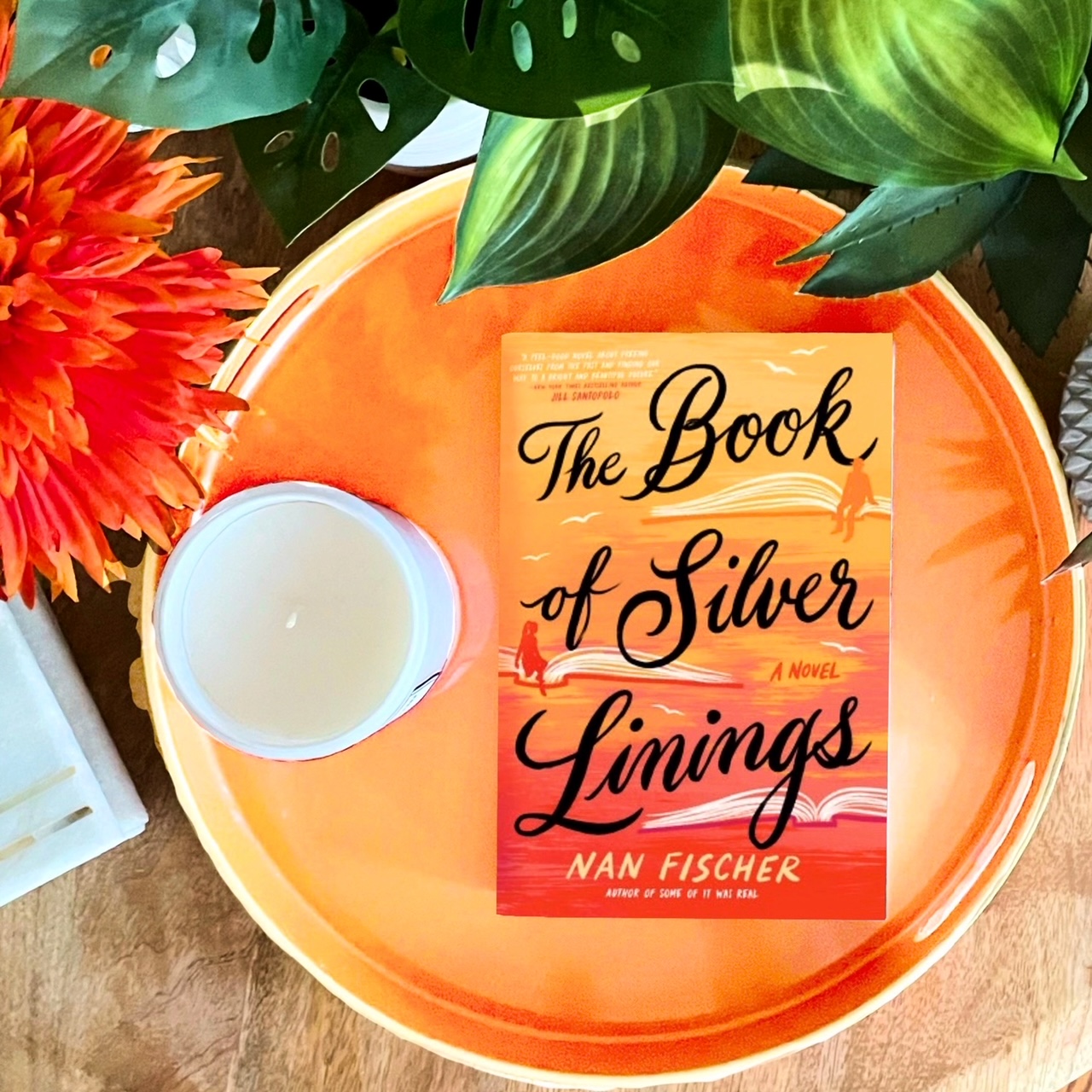 The Book of Silver Linings | Nan Fischer - The PhDiva reads books