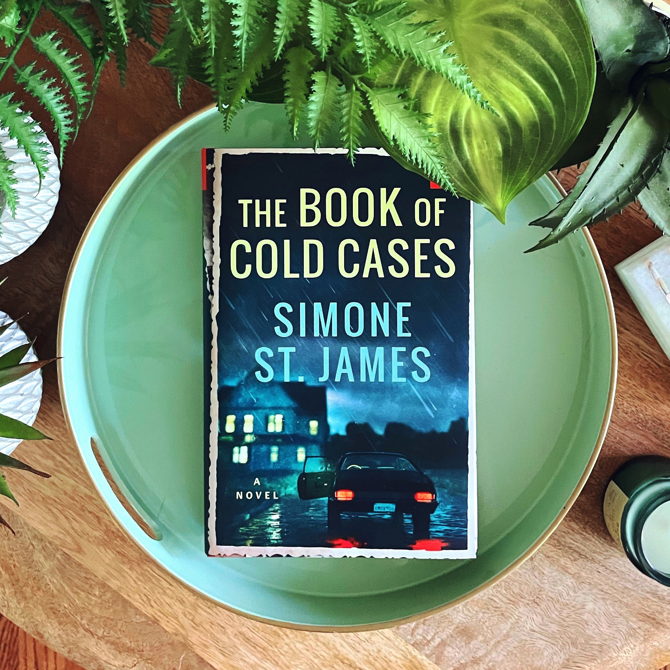 Psychological Thriller Review: The Book of Cold Cases | Simone St ...