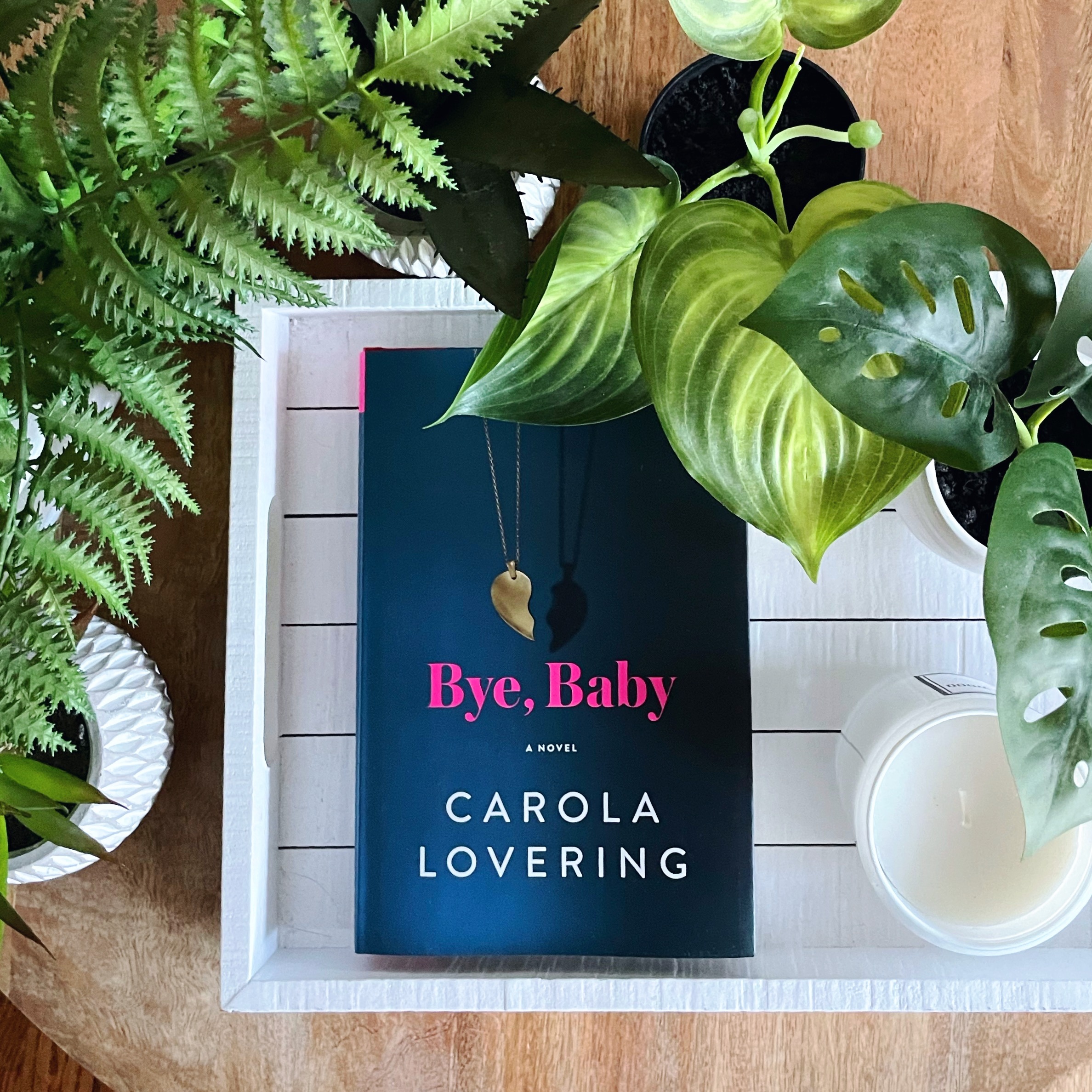 Book Review: Bye, Baby | Carola Lovering - The PhDiva reads books