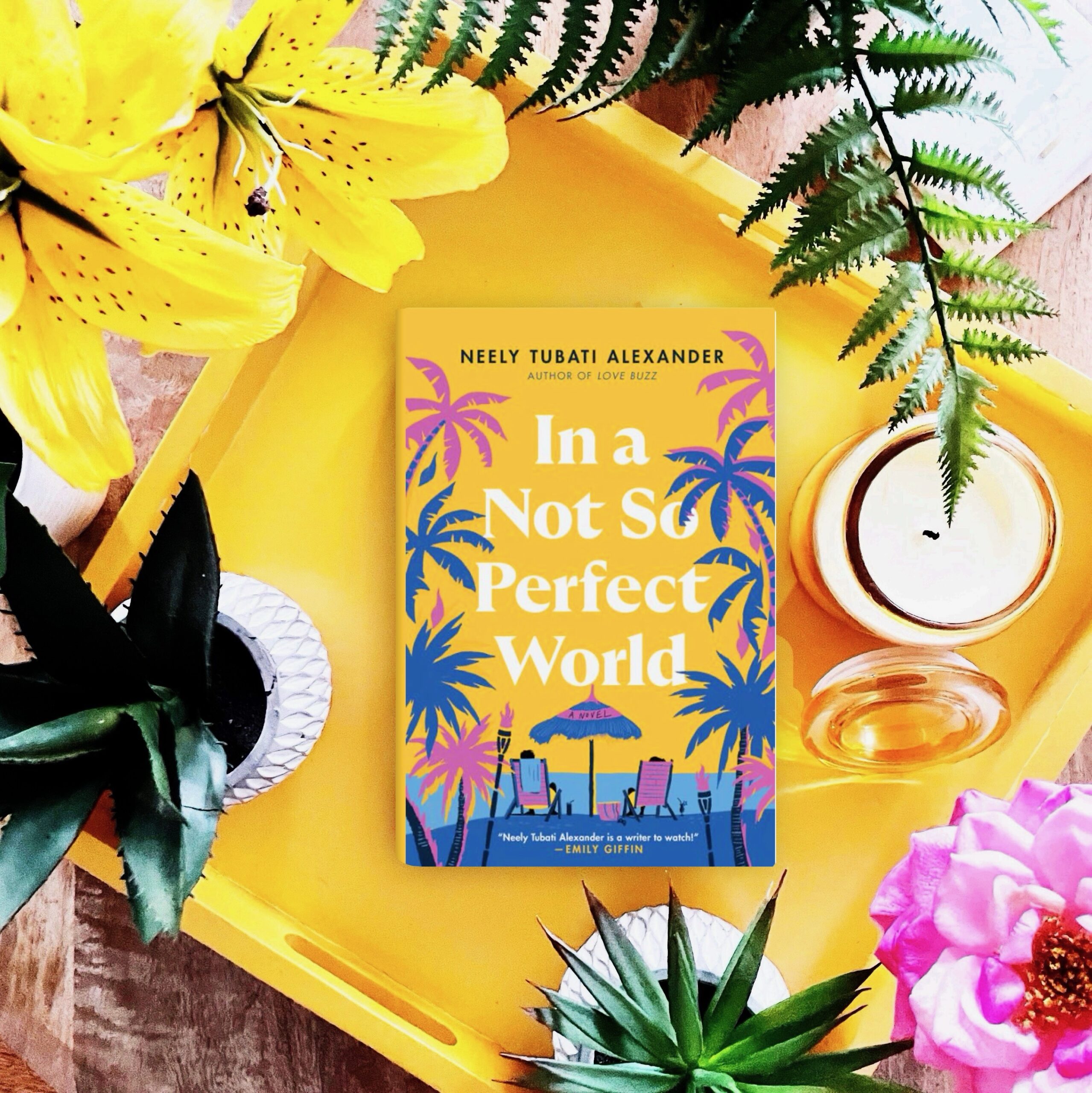 Contemporary Romance Review: In a Not So Perfect World | Neely Tubati ...