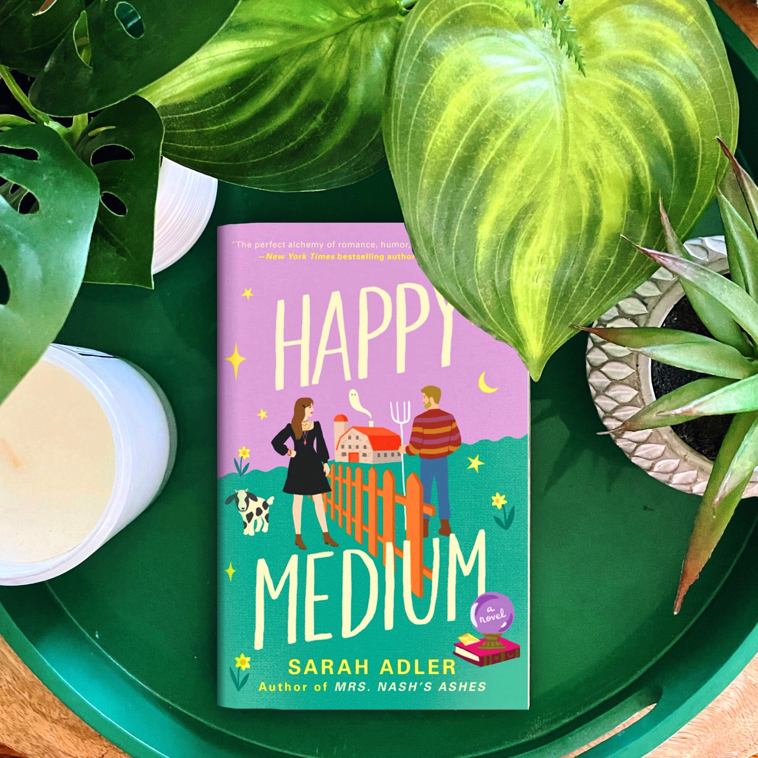 Book Review: Happy Medium | Sarah Adler - The PhDiva reads books
