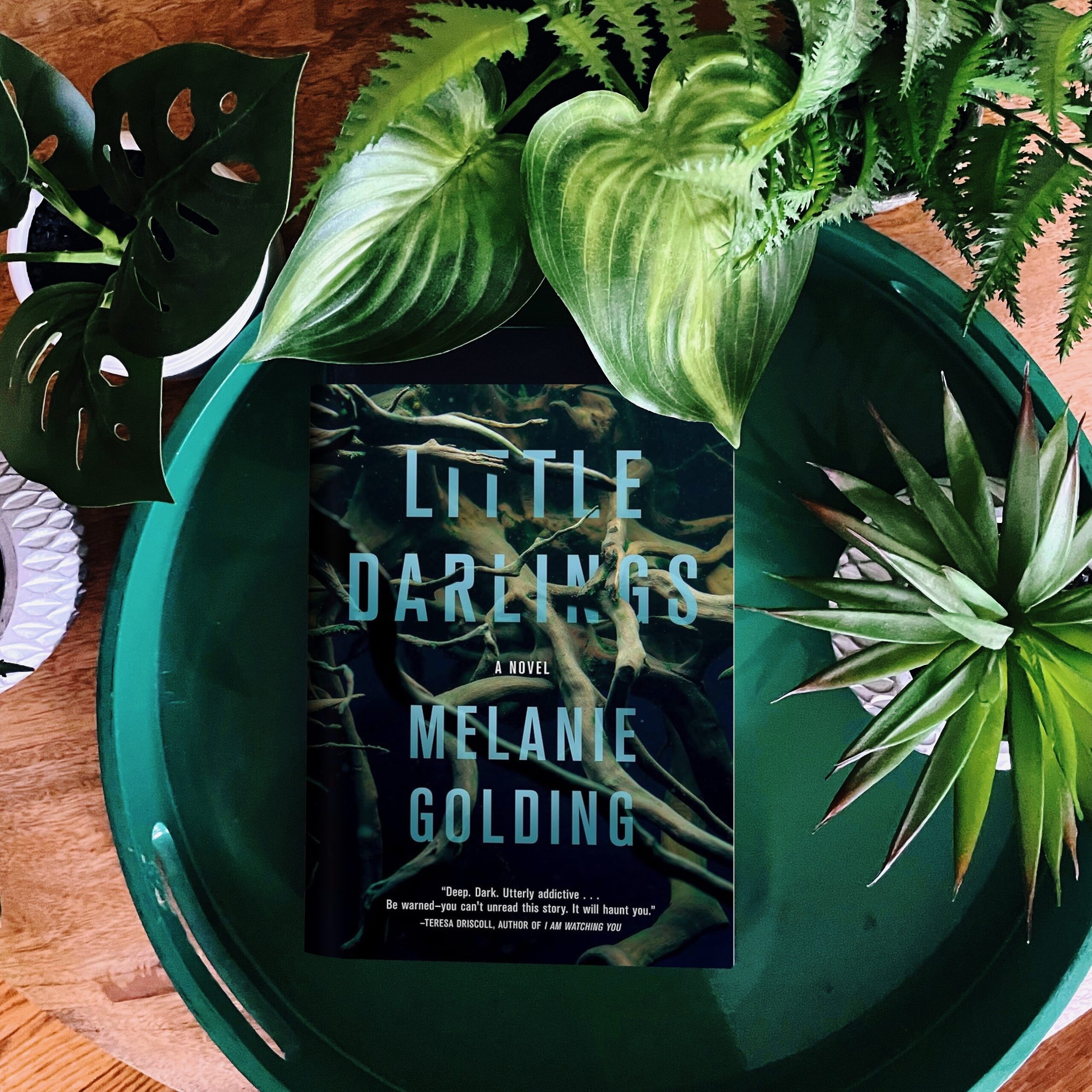 Book Review: Little Darlings | Melanie Golding - The PhDiva reads books