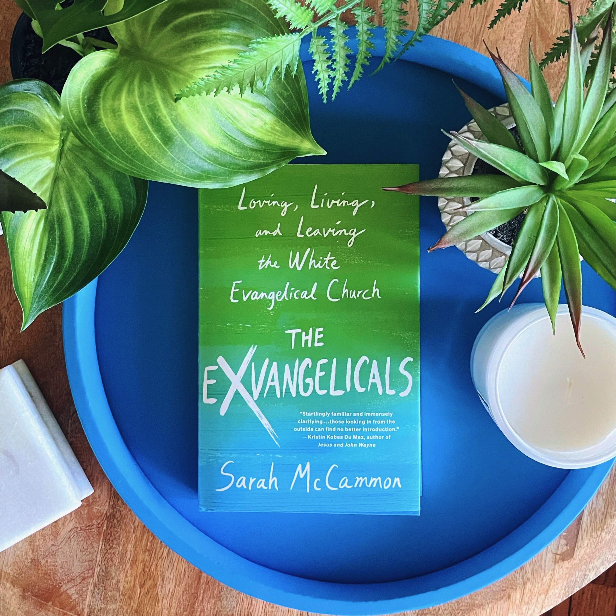 Non-fiction Book Review: The Exvangelicals | Sarah McCammon - The ...