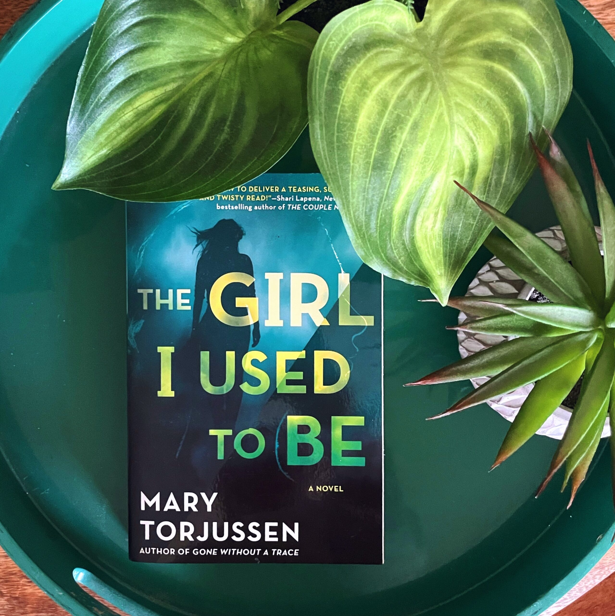 Book Review: The Girl I Used to Be | Mary Torjussen - The PhDiva reads ...