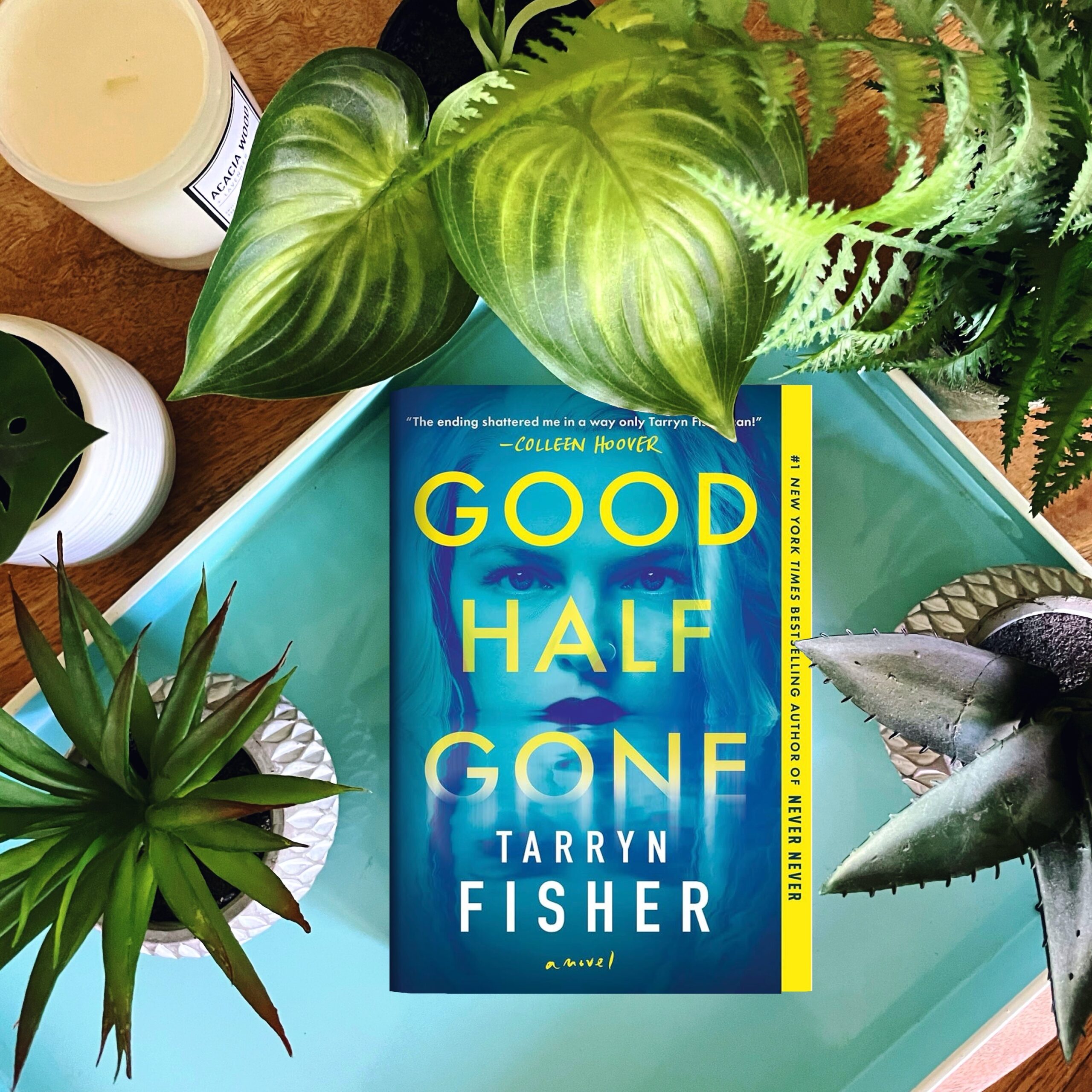 Book Review: Good Half Gone | Tarryn Fisher - The PhDiva reads books