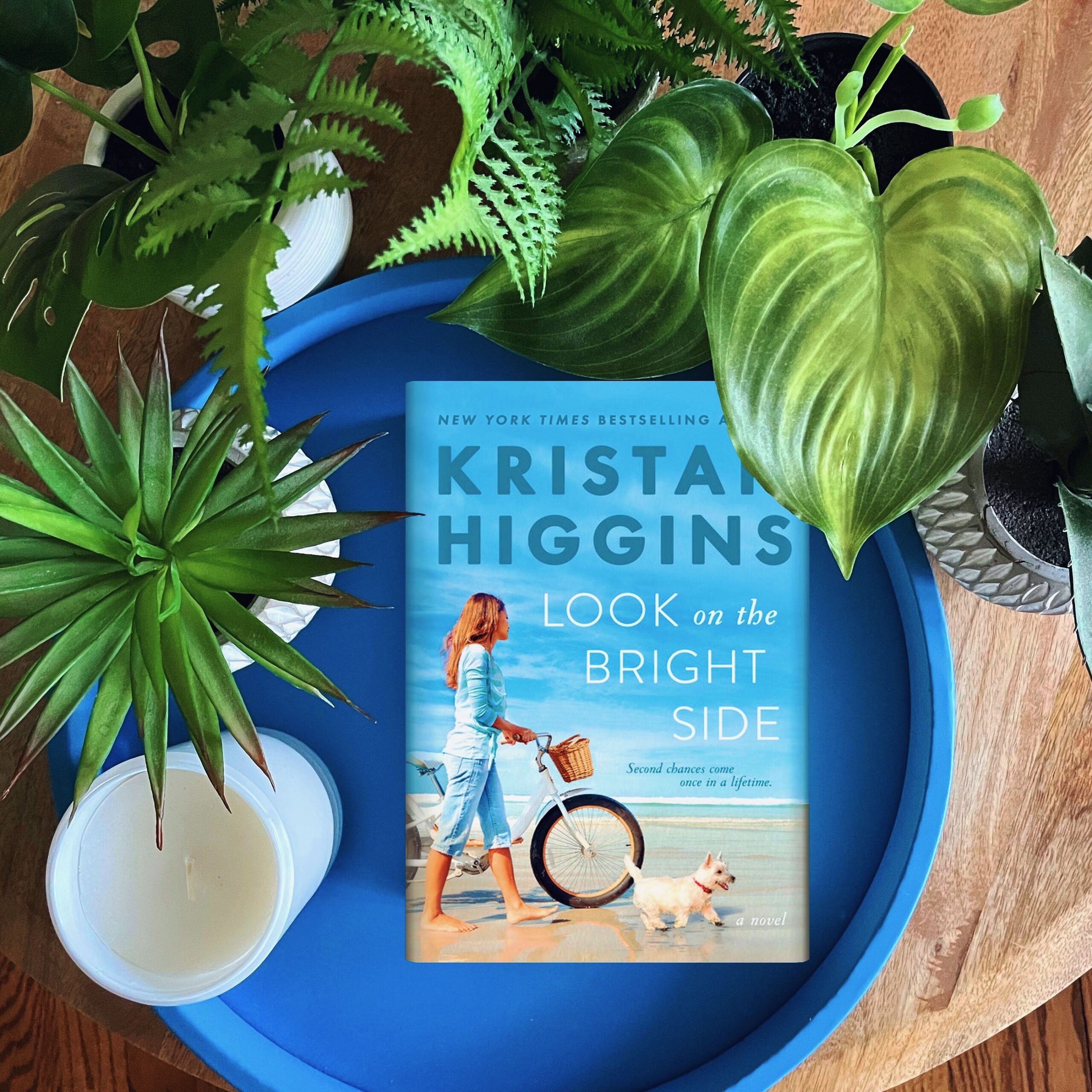 Book Review: Look on the Bright Side | Kristan Higgins - The PhDiva ...