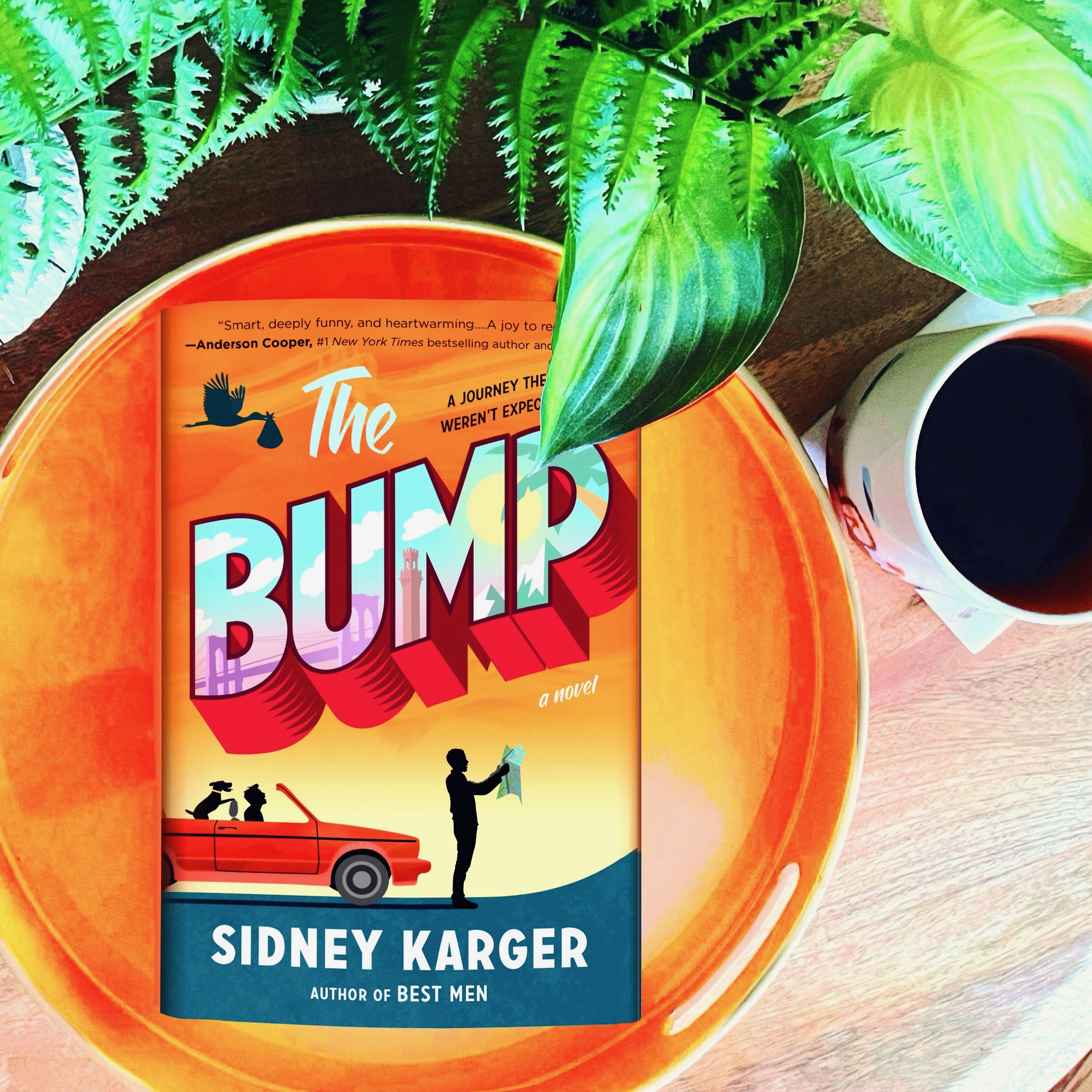 Book Review: The Bump | Sidney Karger - The PhDiva reads books