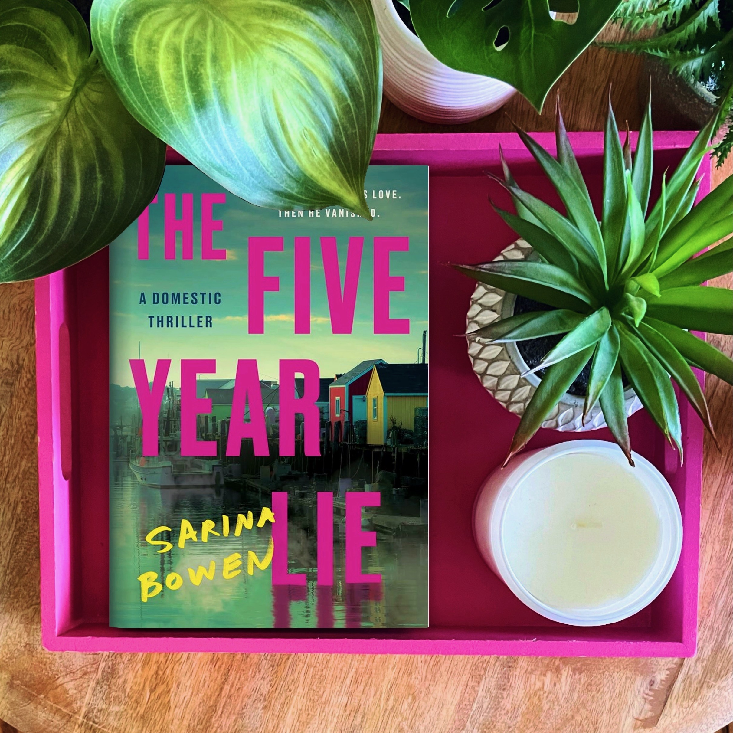 Book Review: The Five Year Lie | Sarina Bowen - The PhDiva reads books