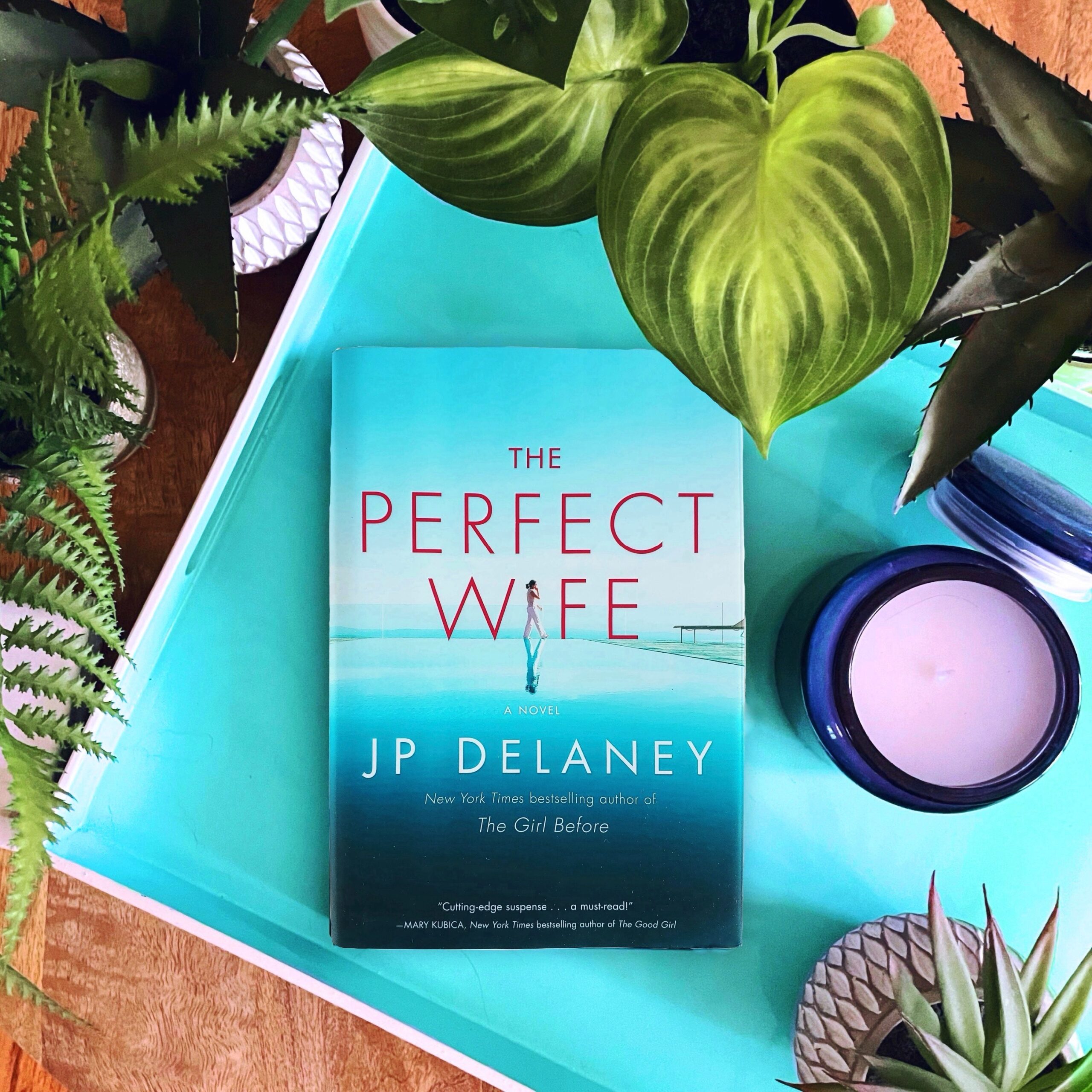 Best of Psychological Thrillers: The Perfect Wife | JP Delaney (book ...
