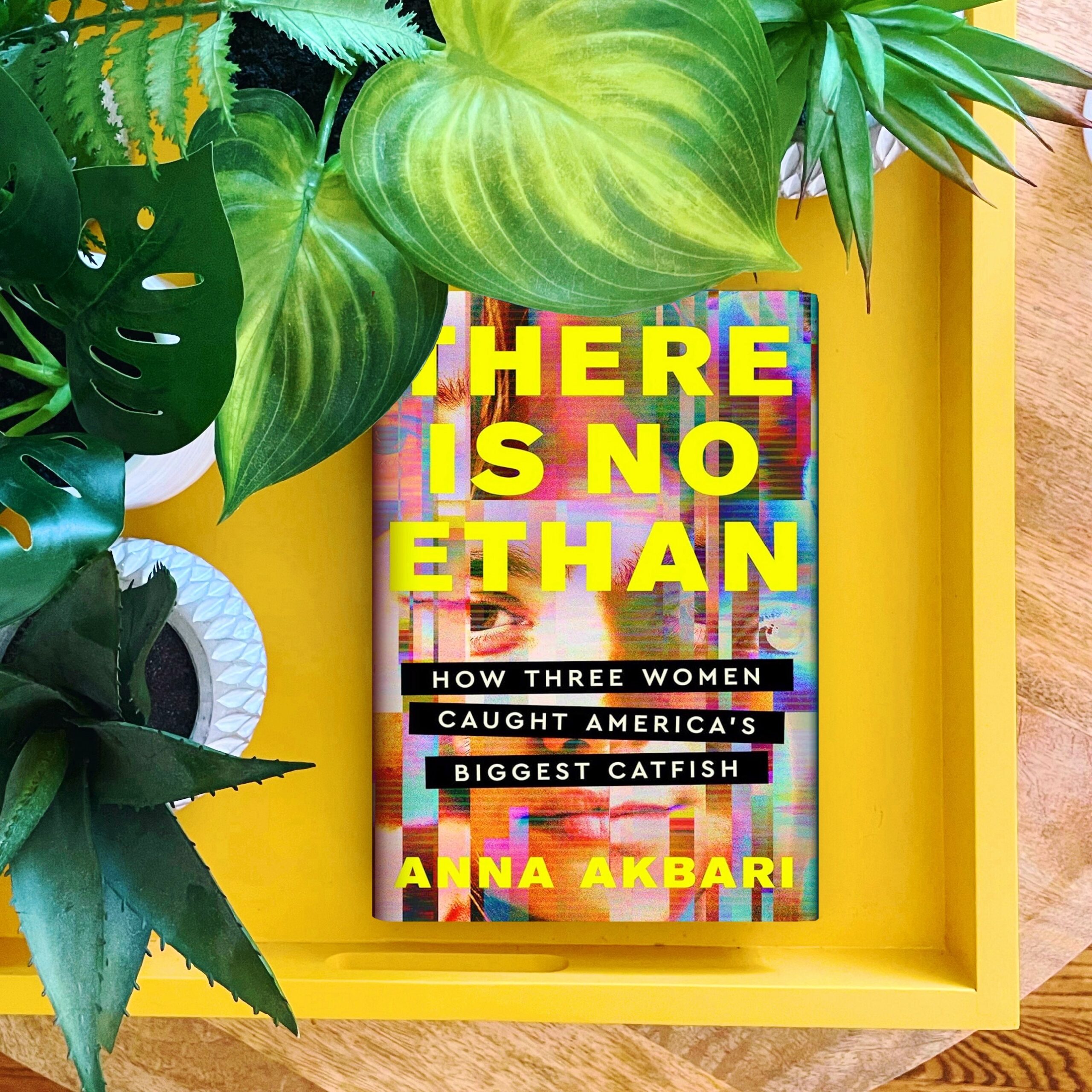 There is No Ethan | Anna Akbari (book spoilers and ending explained ...