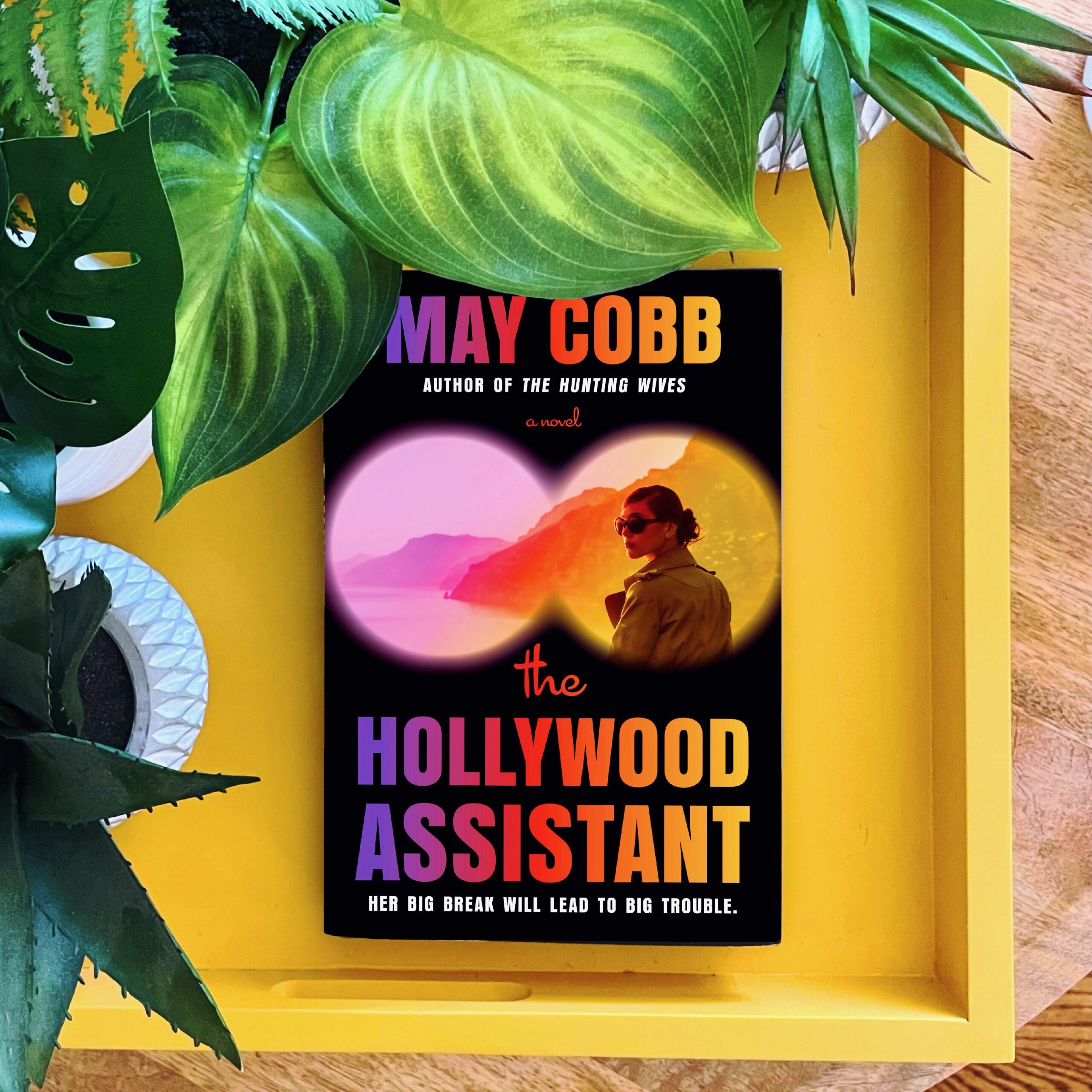 How did The Hollywood Assistant end? | May Cobb (plot summary and ...