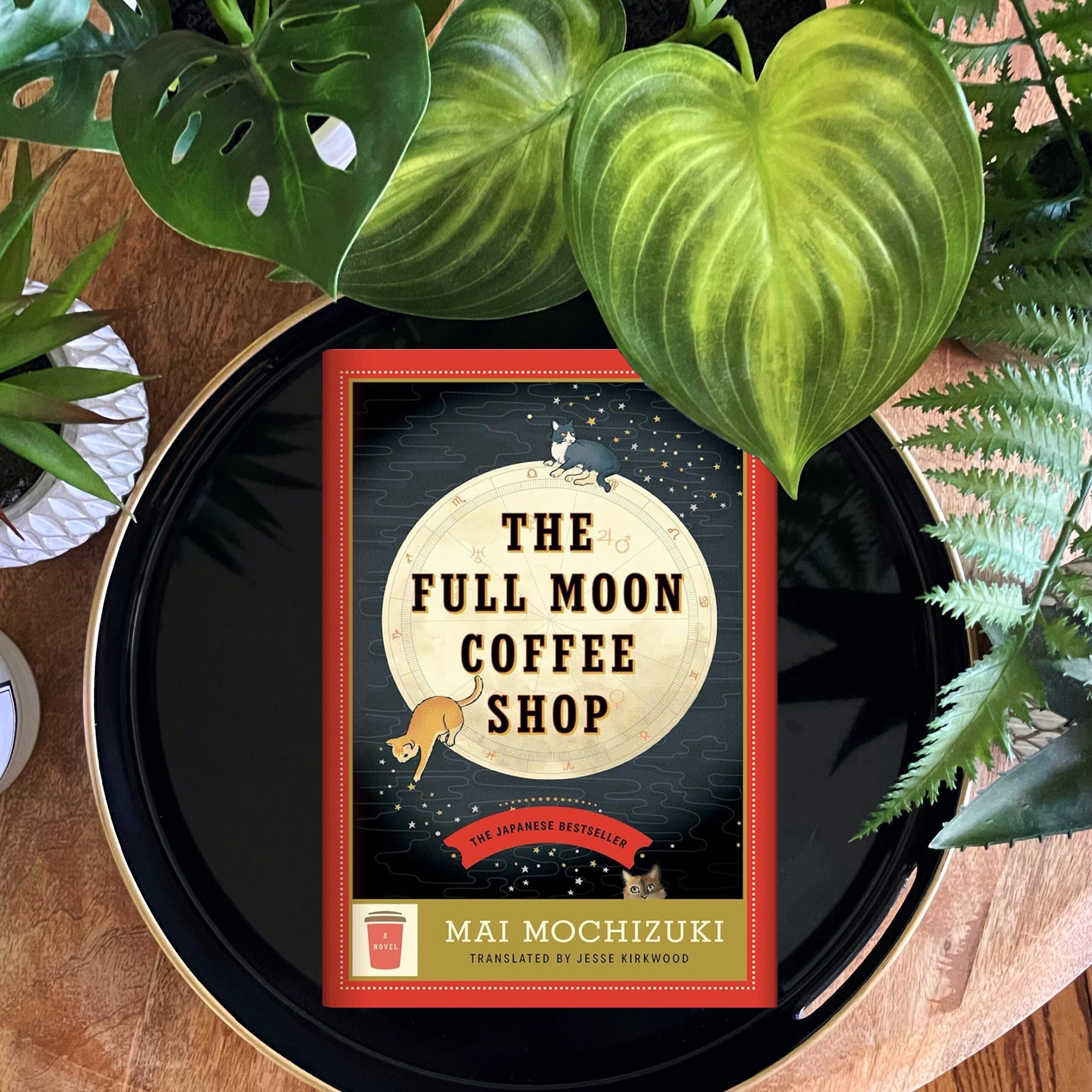 Book Review: The Full Moon Cafe | Mai Mchizuki (translated by Jesse ...