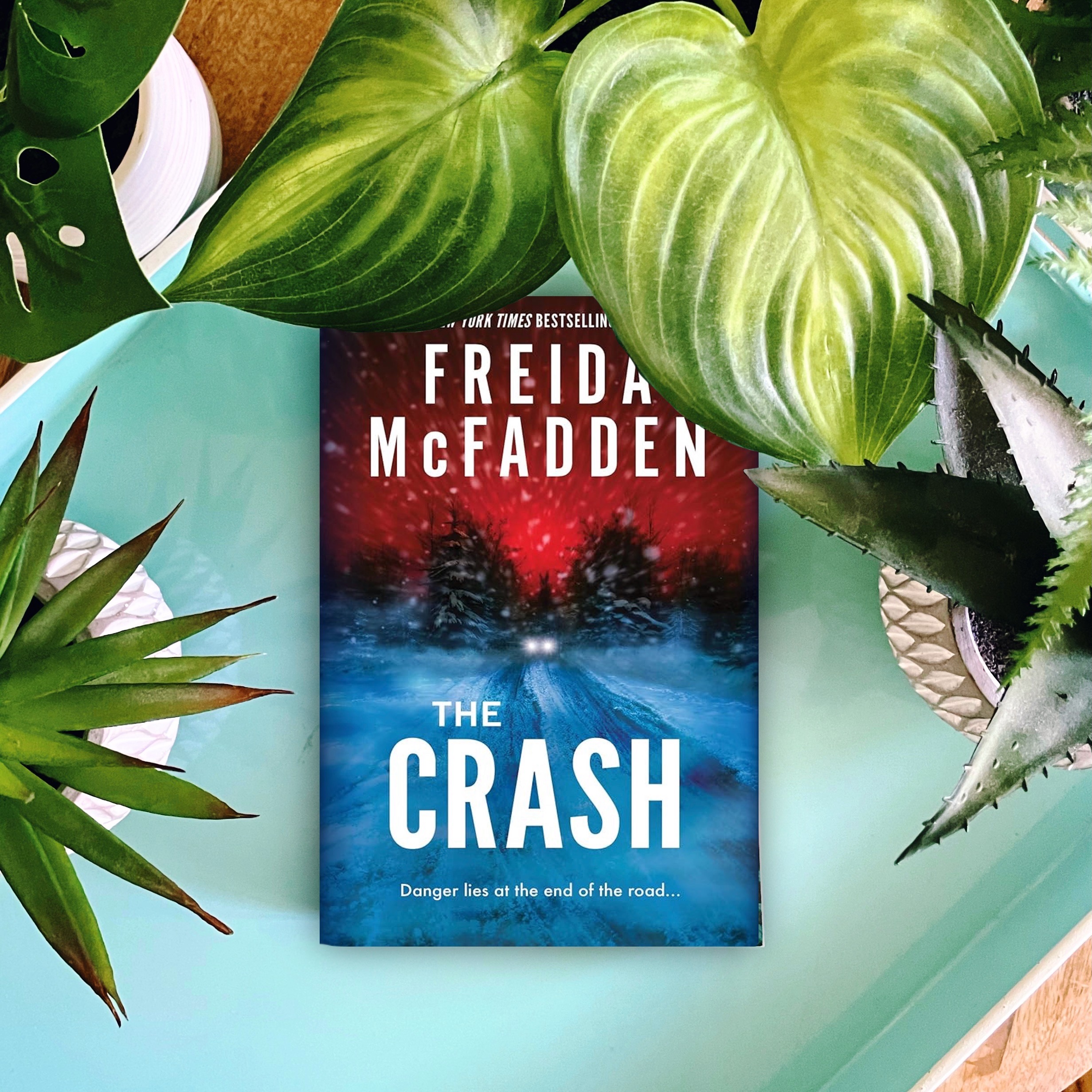 Book Review: The Crash | Freida McFadden - The PhDiva reads books